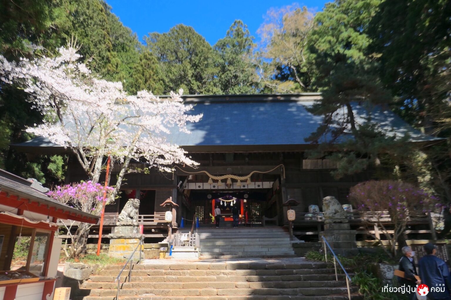 Yamanashi: ซุ้มประตูโทริอิแห่งท้องฟ้า Tenku-no-Torii ศาลเจ้า Kawaguchi Asama Shrine ที่มีฉากเป็น ...