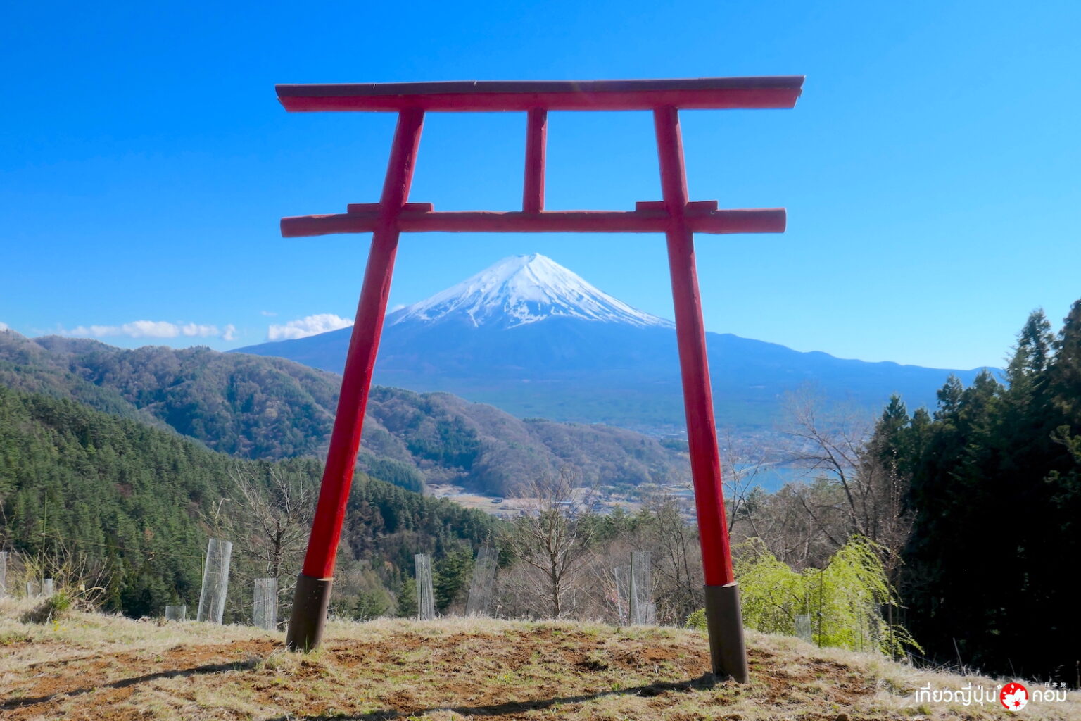 Yamanashi: ซุ้มประตูโทริอิแห่งท้องฟ้า Tenku-no-Torii ศาลเจ้า Kawaguchi ...