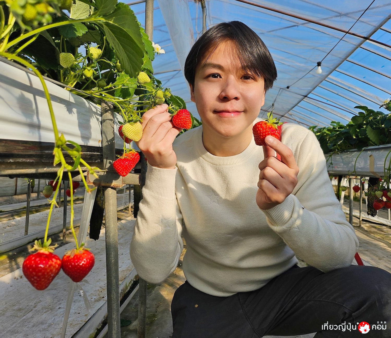 เที่ยวญี่ปุ่น ดอทคอม | ichigo-house-04-min | เที่ยวญี่ปุ่น ดอทคอม